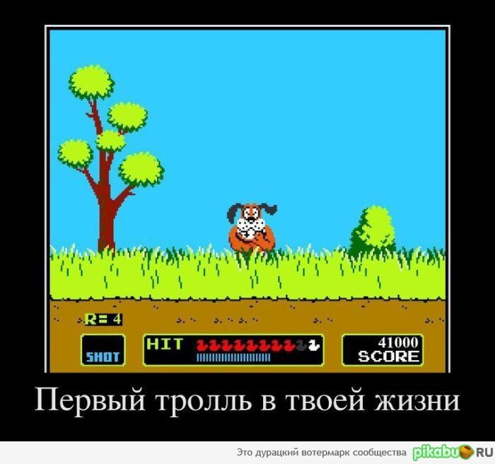 Первый троль в моей жизни. | Пикабу