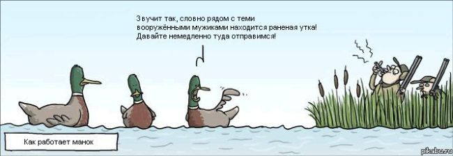 Манок... | Пикабу