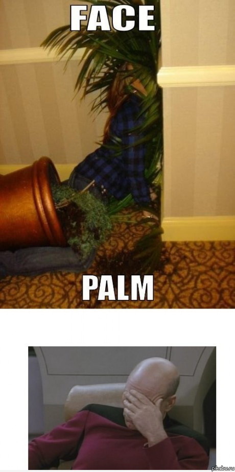 Face Palm | Пикабу