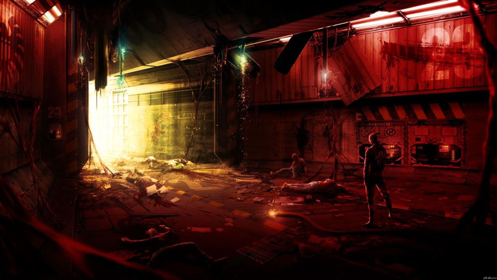 Gate 23 | Пикабу