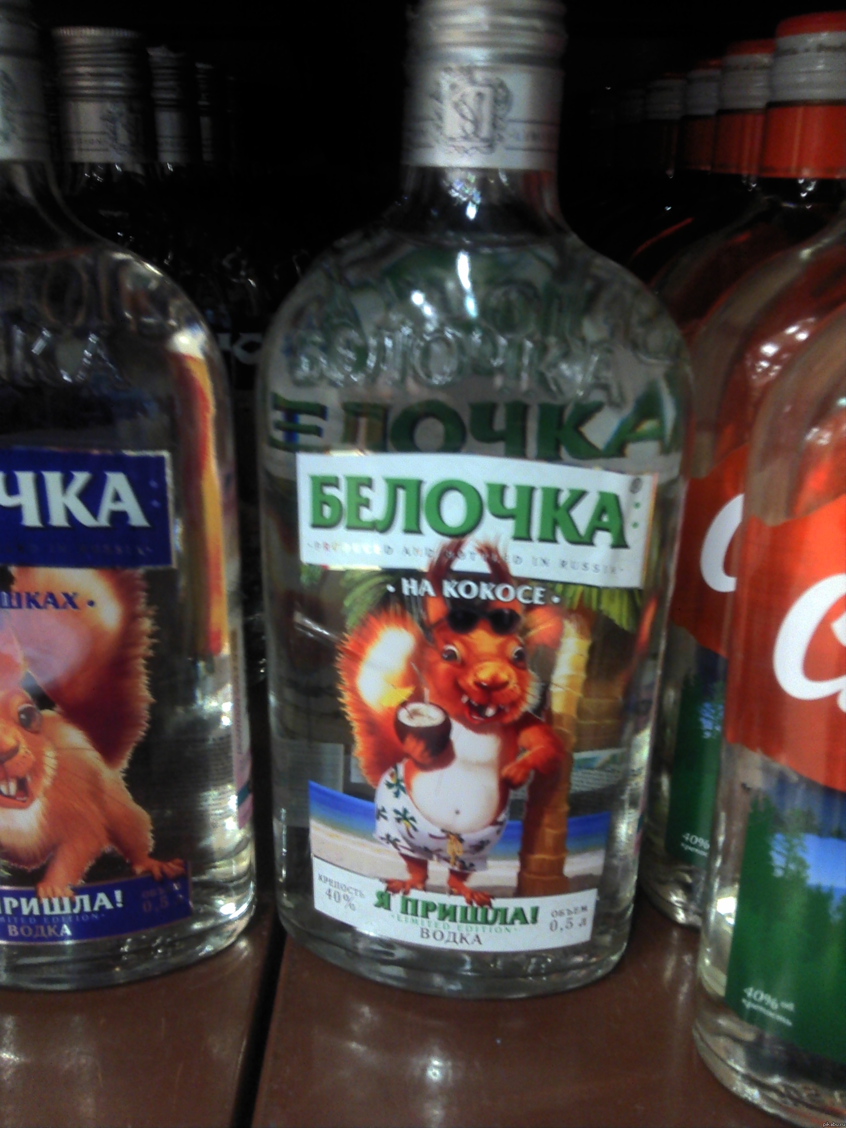 Белочка на кокосе | Пикабу
