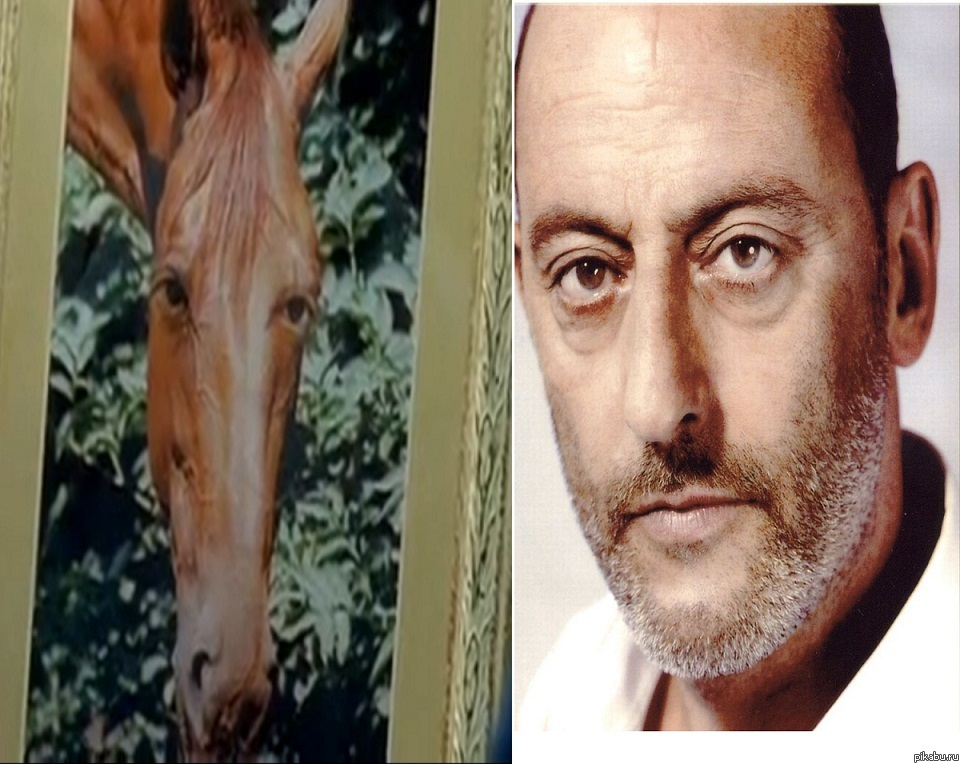 "Horse" Reno | Пикабу