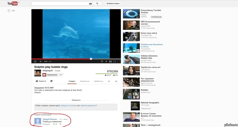 Забавный момент в продолжение поста http://pikabu.ru/story/delfinyi ...