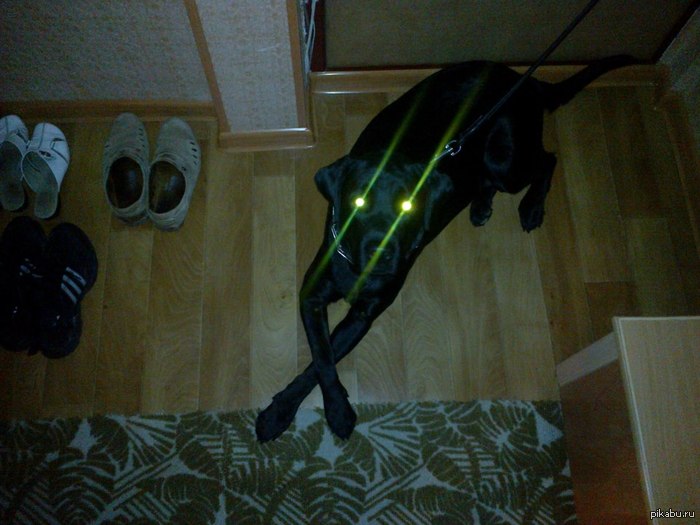 Assuming direct control... | Пикабу