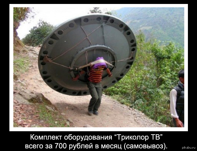 новая акция от "Триколор ТВ" | Пикабу