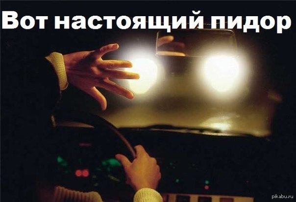 гады | Пикабу