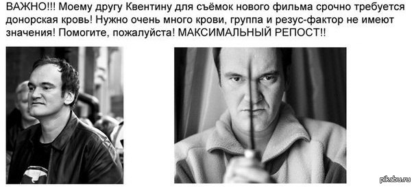 Квентин) | Пикабу