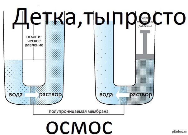 Да детка. | Пикабу