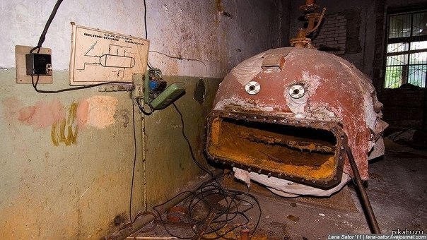 Зверёк Михалыча)) | Пикабу