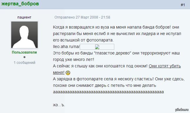 Жертва Бобров | Пикабу