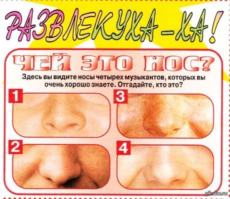 Чей нос?! | Пикабу