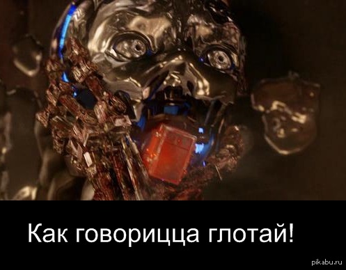 Terminator | Пикабу