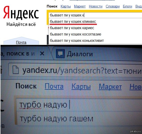 Поиск в яндексе Пикабу