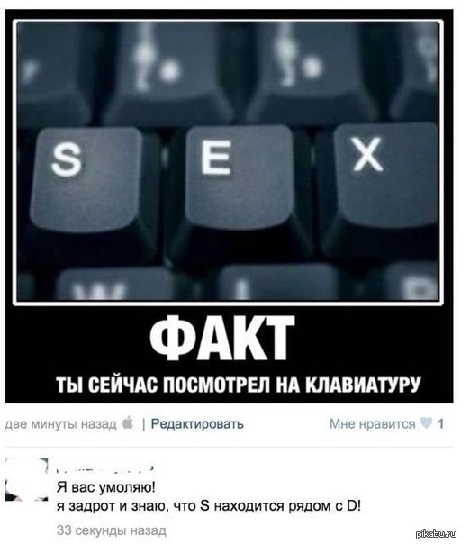 Sex на клавиатуре Пикабу