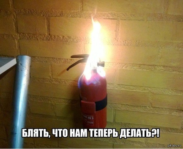 Made in Britan | Пикабу