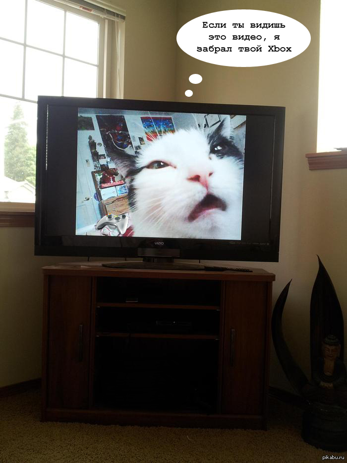 я забрал твой Xbox | Пикабу