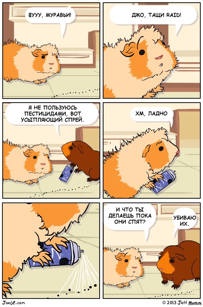 Милота | Пикабу