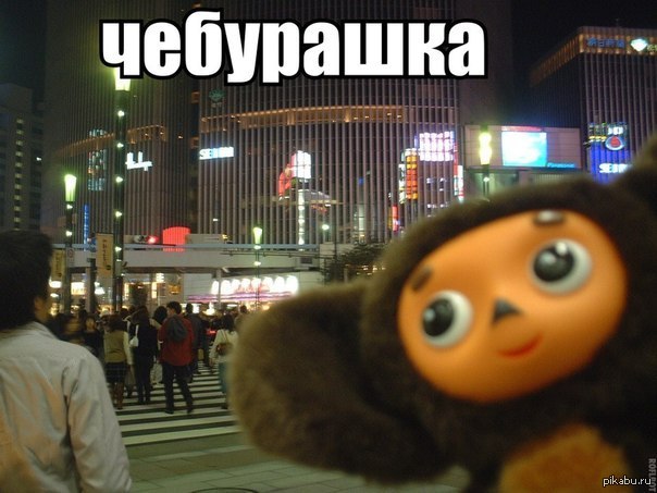Чебурашка | Пикабу