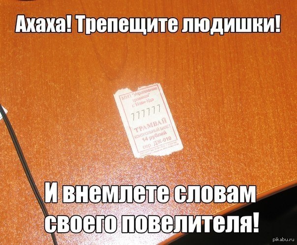 Счастливый билет | Пикабу