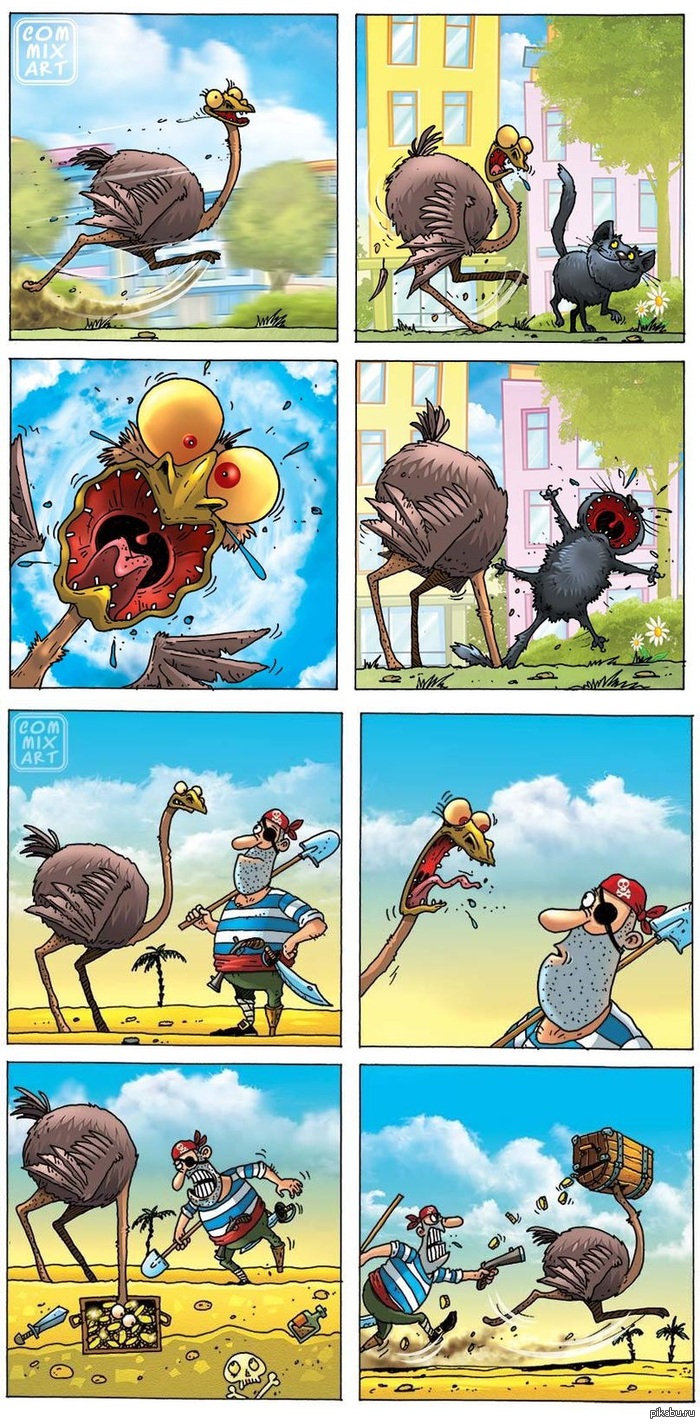 Про страуса | Пикабу