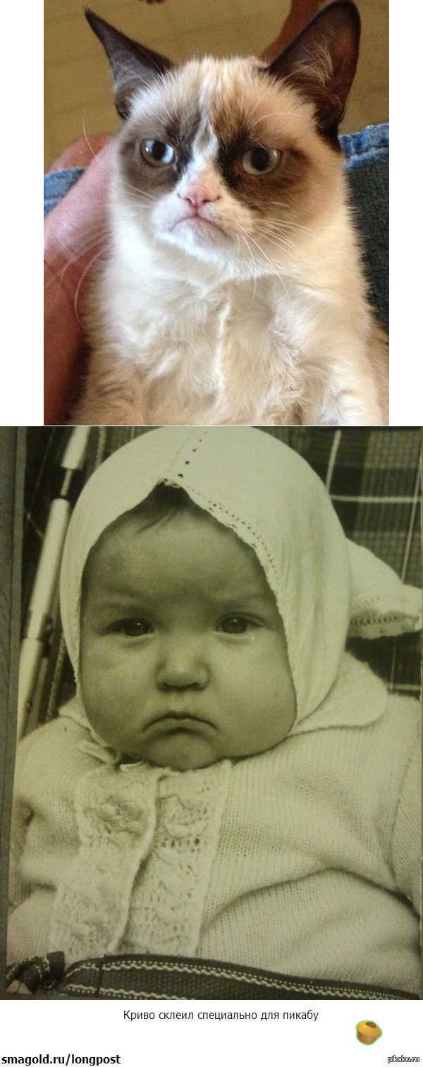Grumpy little girl | Пикабу
