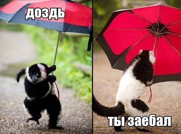 Действительно | Пикабу