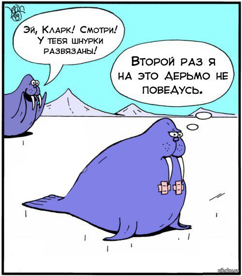 Грабли | Пикабу