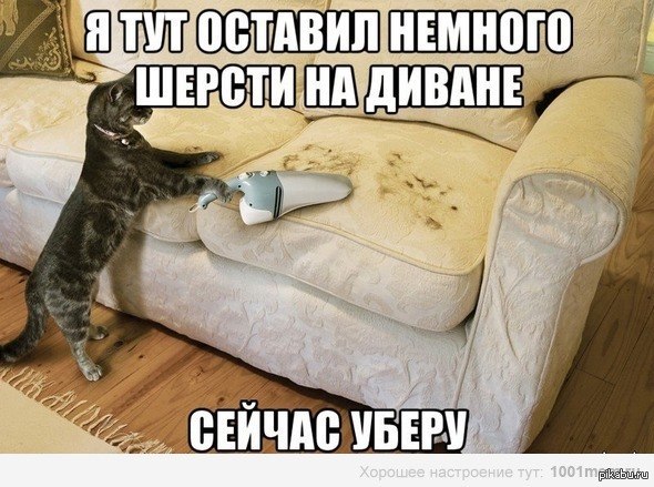 Параллельная вселенная | Пикабу