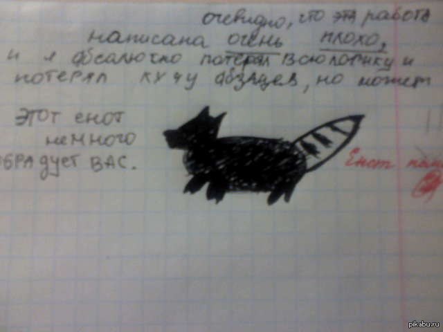 Енот помог! :D | Пикабу