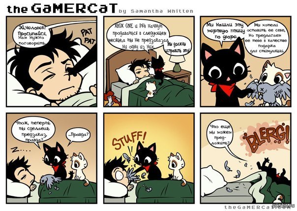 GamerCat | Пикабу