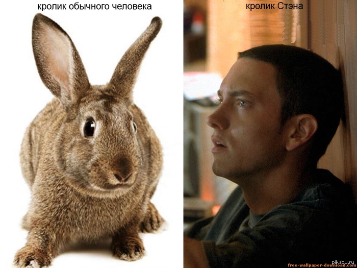 Поймут наверно только Стэны | Пикабу