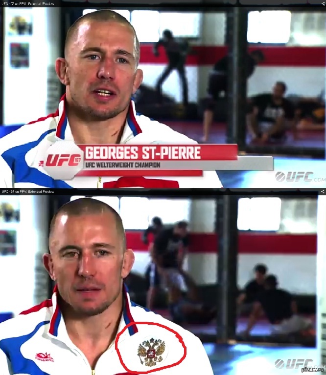 Великий GSP, как бы намекает, что хочет стать нашим | Пикабу