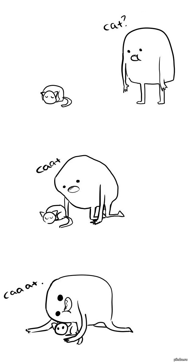 caaaaat | Пикабу