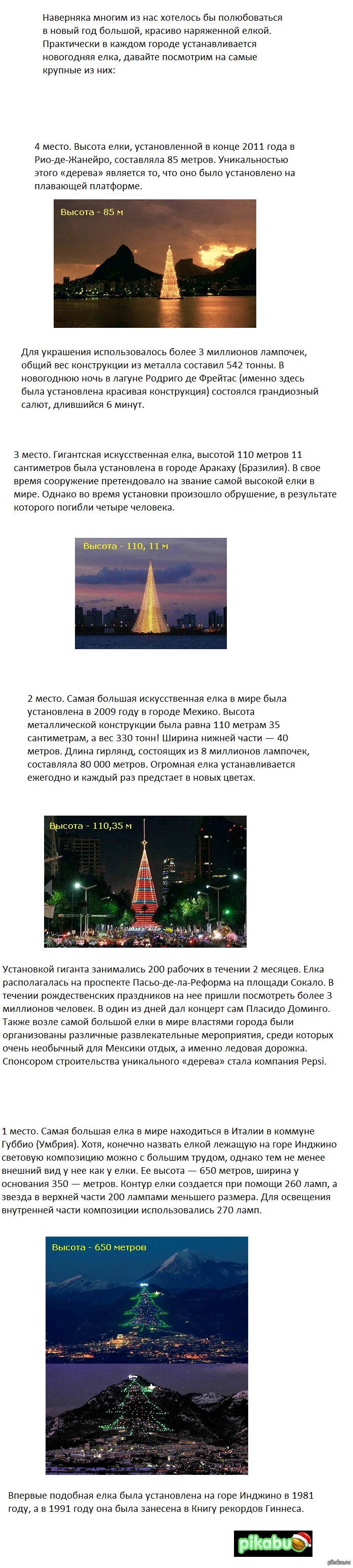 Самые большие елки в мире | Пикабу