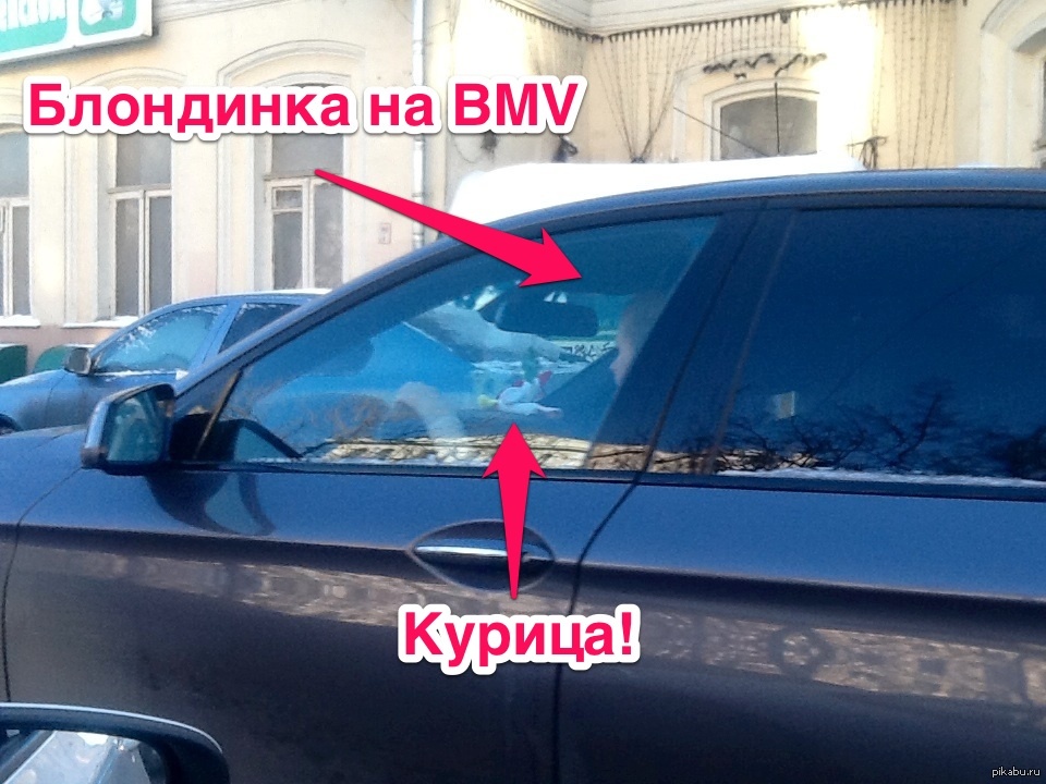 Правильную игрушку на торпеду поставила! | Пикабу