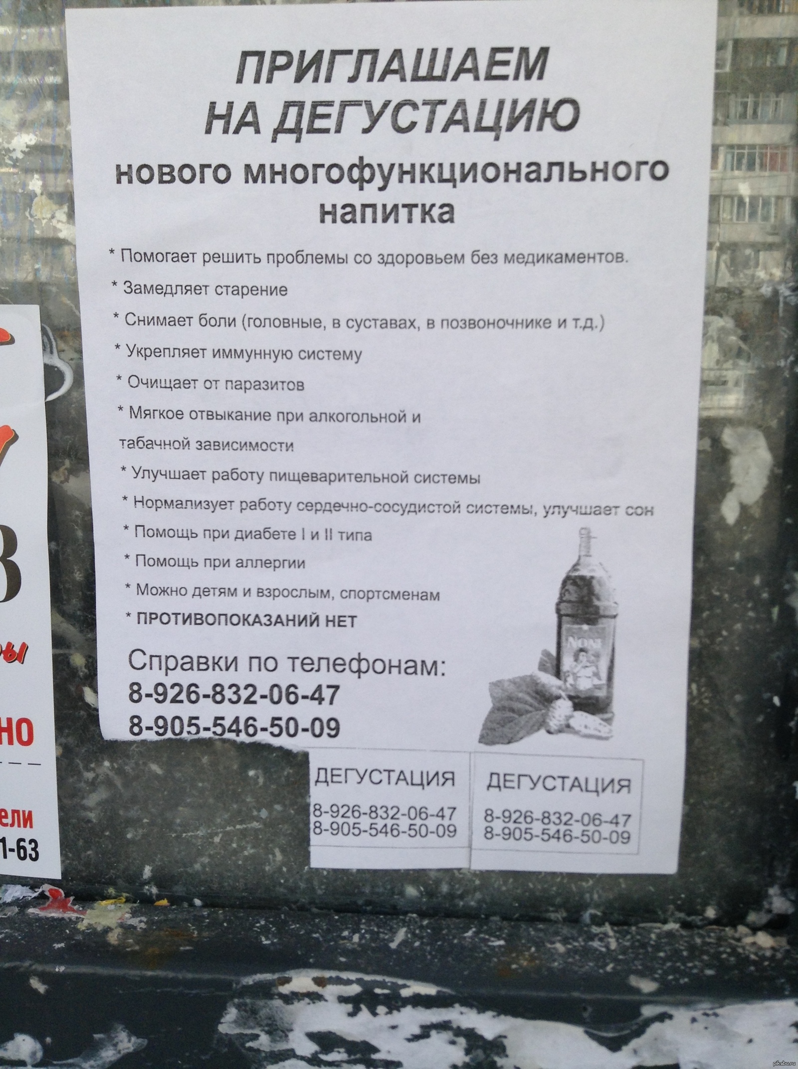 Эликсир Жизни | Пикабу