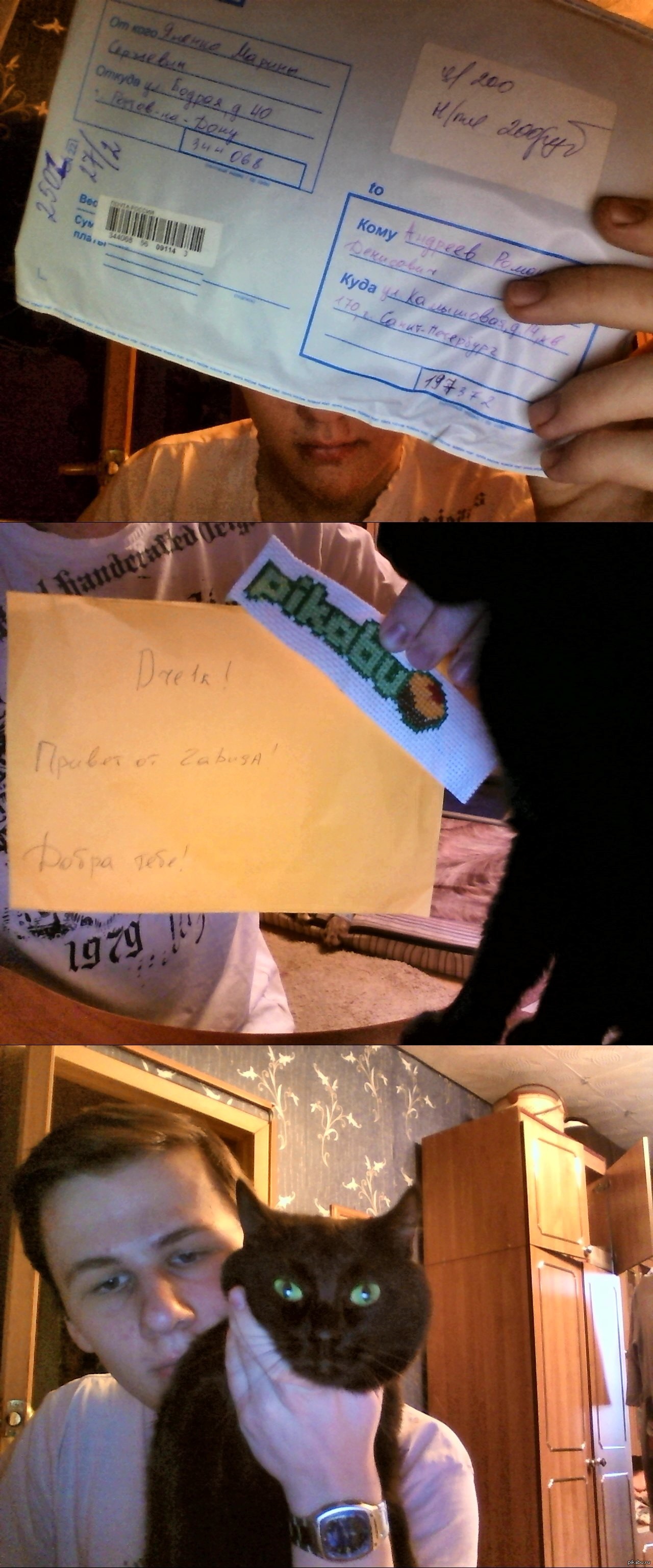 Zabus: истории из жизни, советы, новости, юмор и картинки — Лучшее | Пикабу