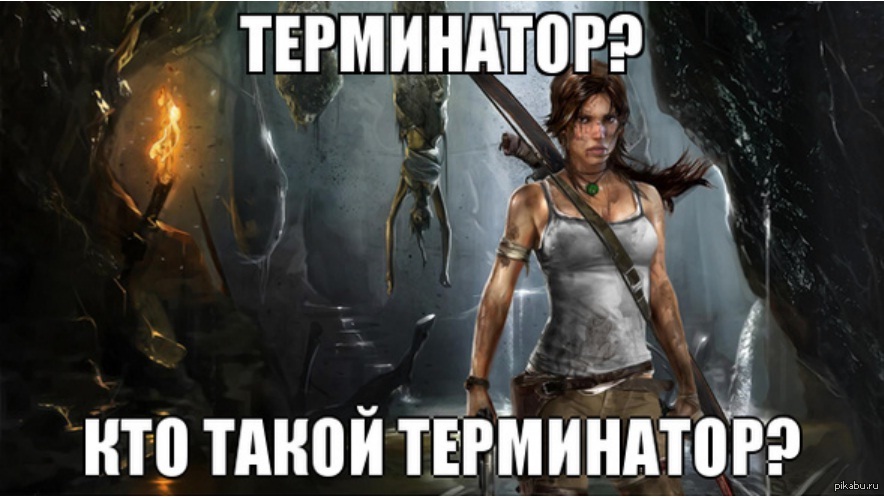 Терминатор Lara | Пикабу