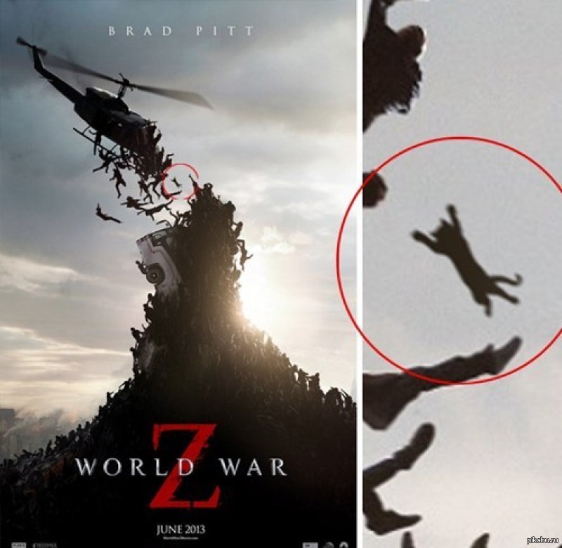 Cat ? | Пикабу