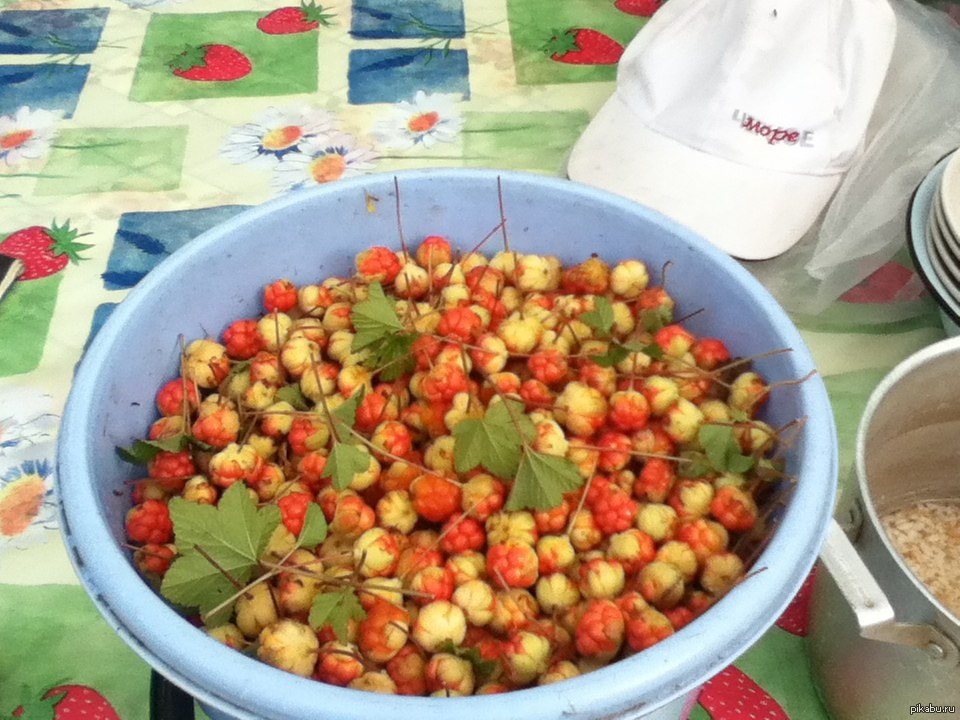 Ввиду последних событий. А вот мой улов. | Пикабу