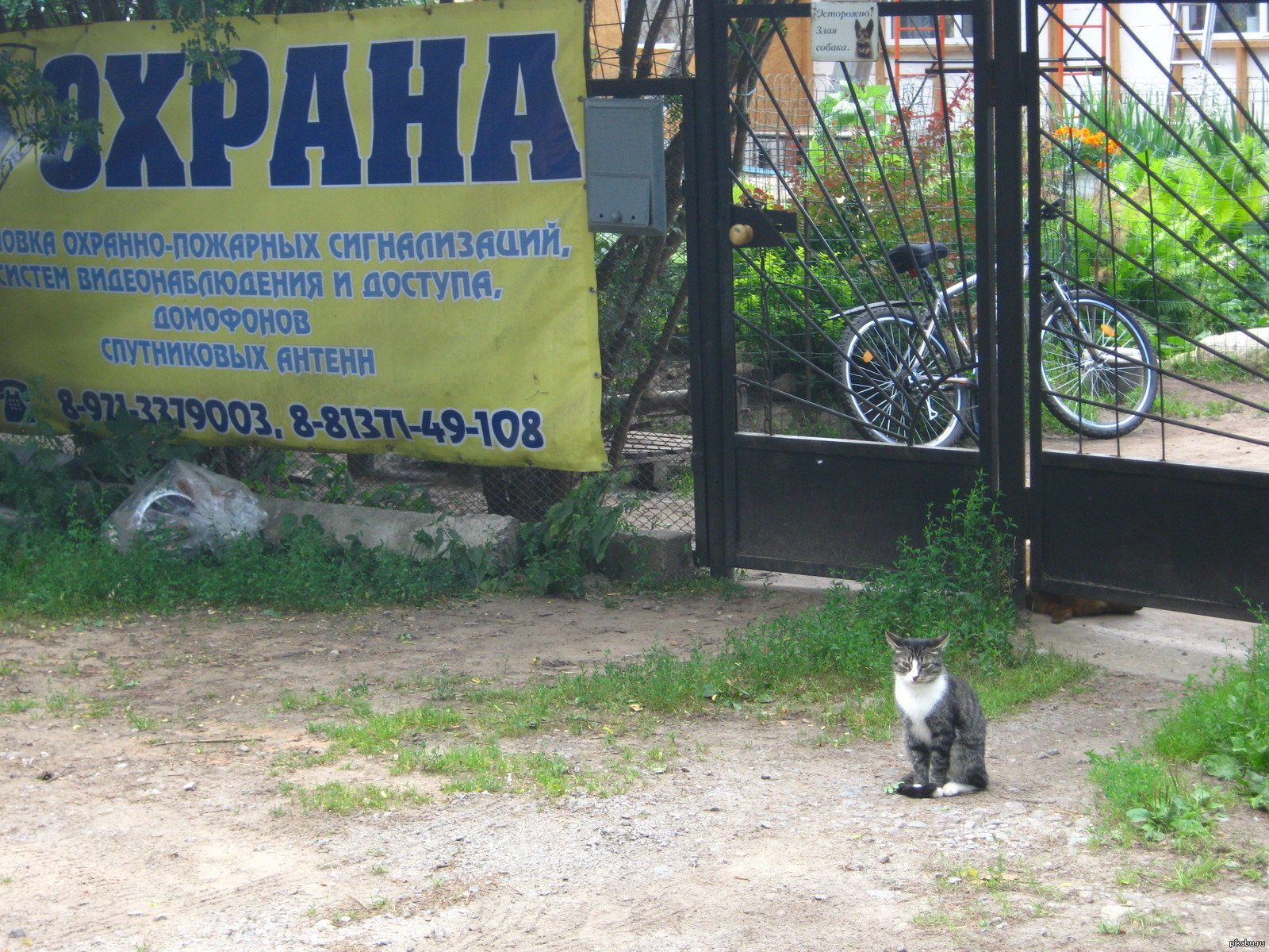 Охранник | Пикабу