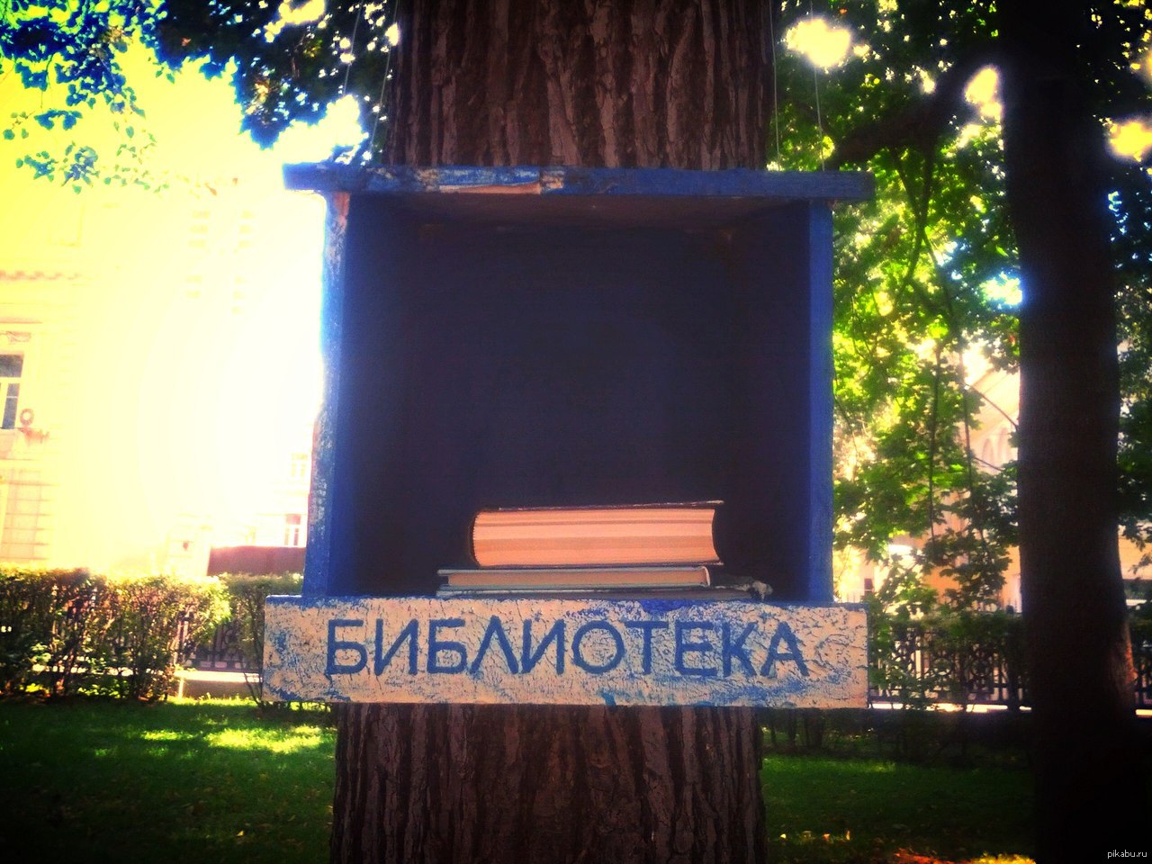 Мини-библиотека на Гоголевском. | Пикабу