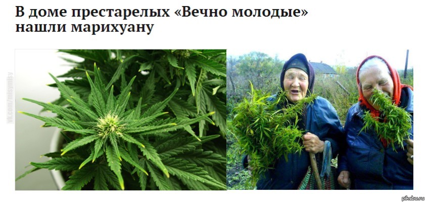 Новостная лента радует | Пикабу