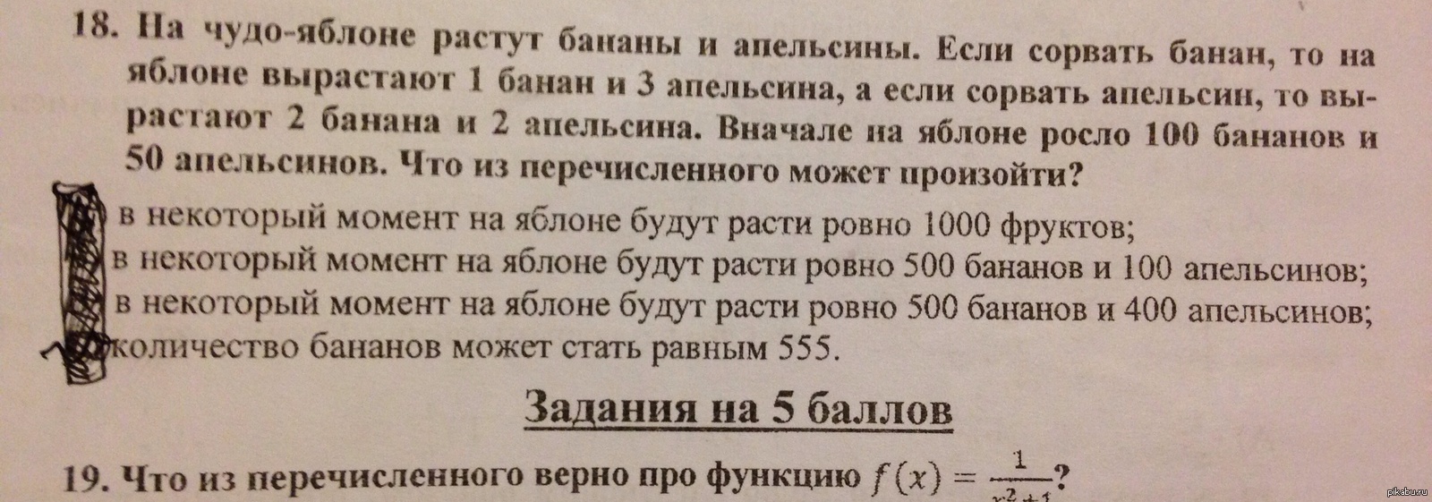 Чудо-яблоня. | Пикабу
